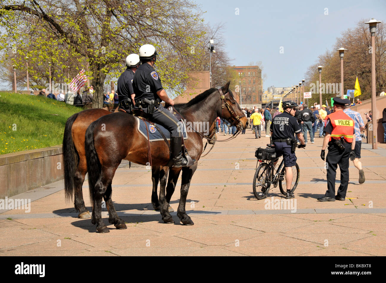 Mounted cops hi-res stock photography and images - Alamy