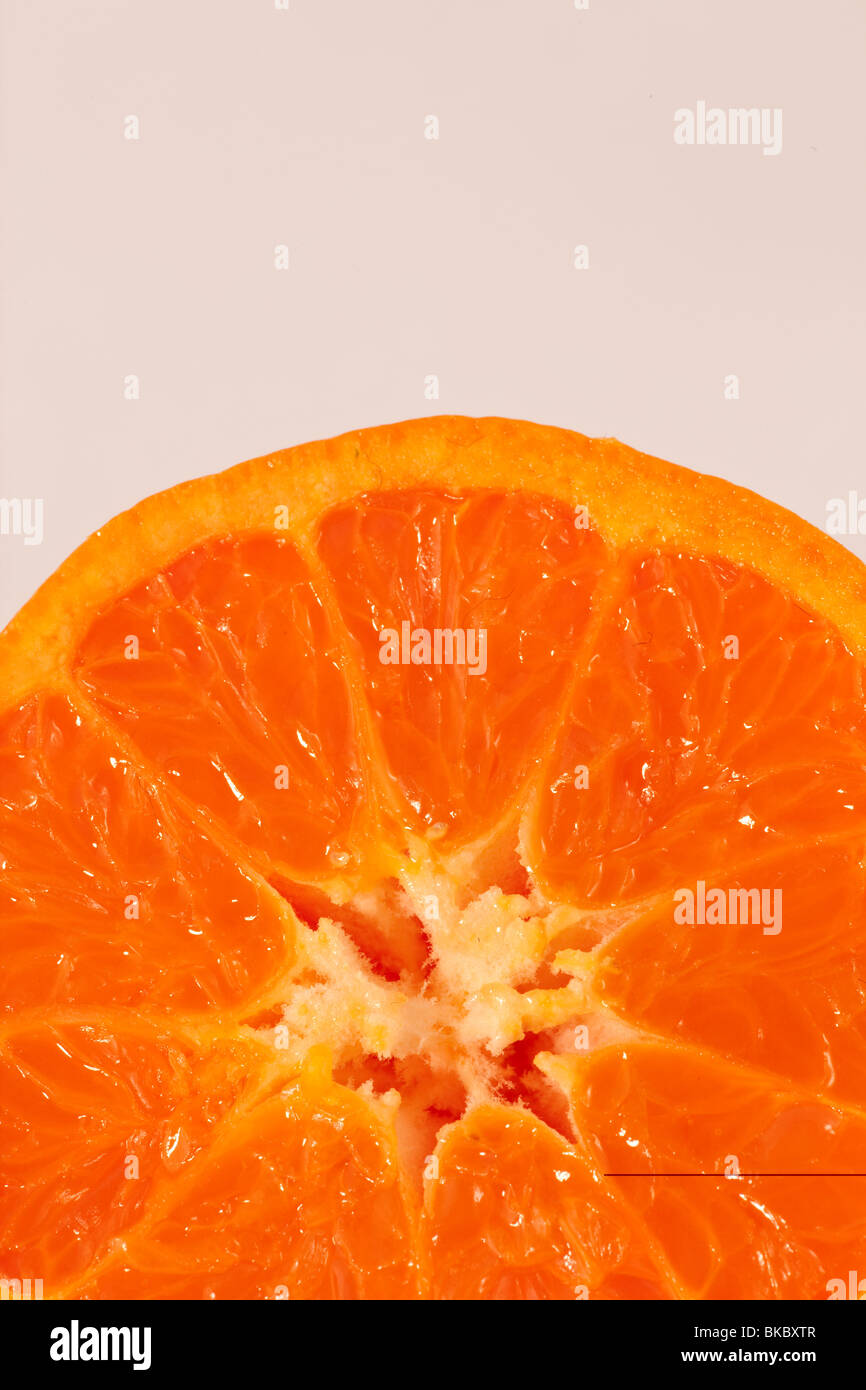 Bottom segments hi-res stock photography and images - Alamy