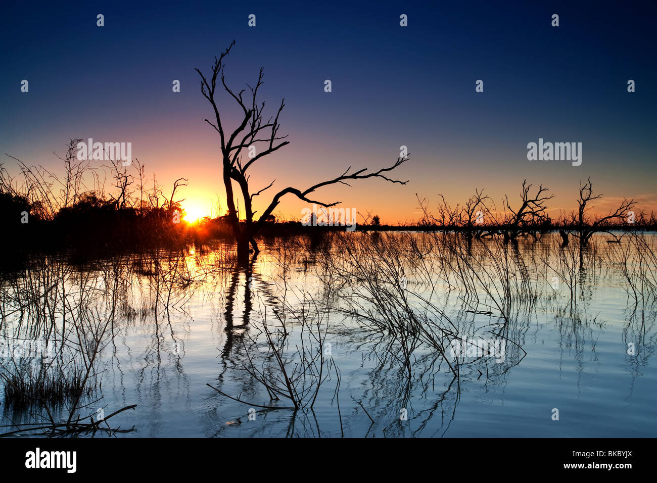 Pamamaroo hi-res stock photography and images - Alamy