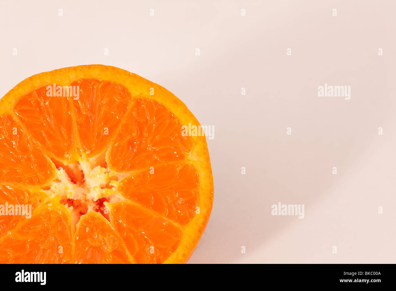 Bottom segments hi-res stock photography and images - Alamy
