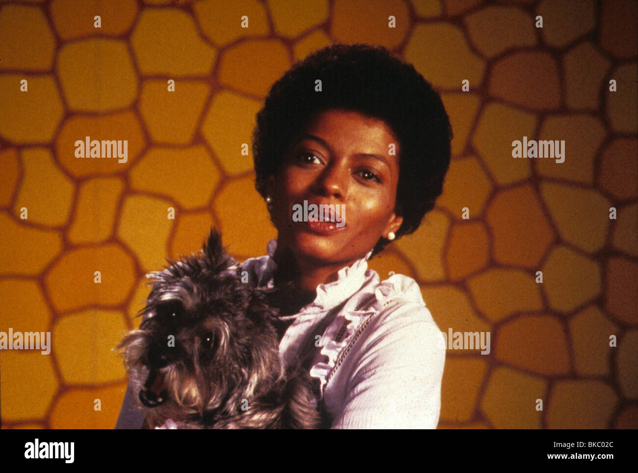 The wiz 1978 hi-res stock photography and images - Alamy