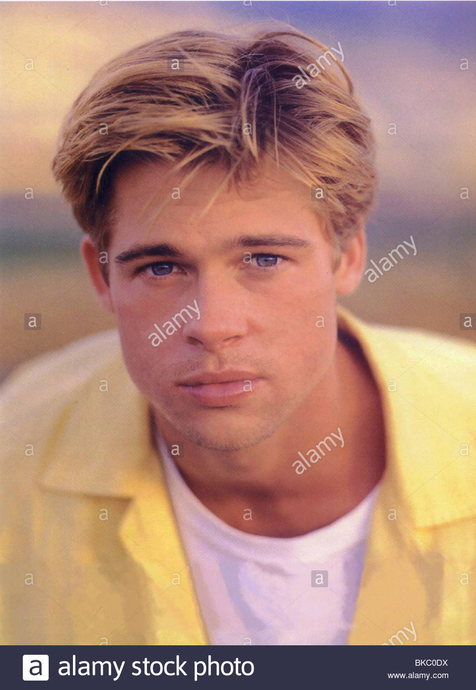 Brad Pitt Portrait Stock Photos & Brad Pitt Portrait Stock Images - Alamy