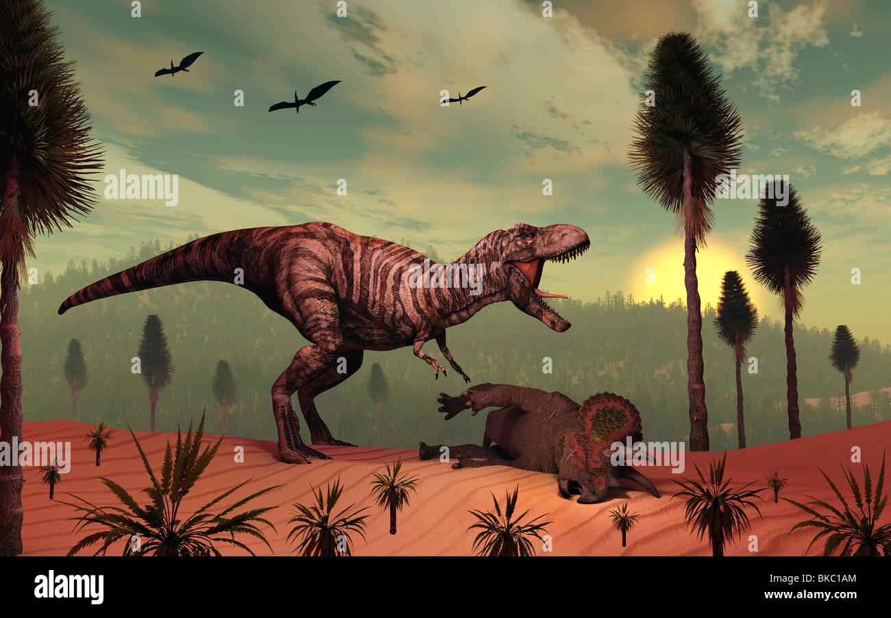 Dinosaur dinosaurs triceratops hi-res stock photography and images - Alamy