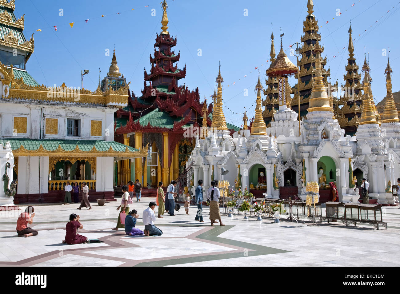 Buddhist devotees praying at Shwedagon Paya. Yangon. Myanmar Stock ...