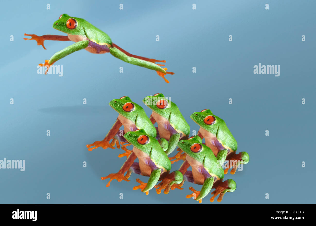 Frogs playing leapfrog Stock Photo - Alamy