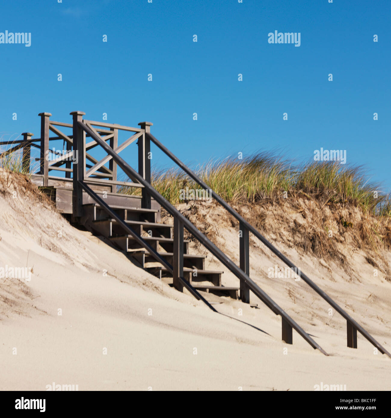 Steps To Beach, Sag Harbor, New York, Usa Stock Photo - Alamy