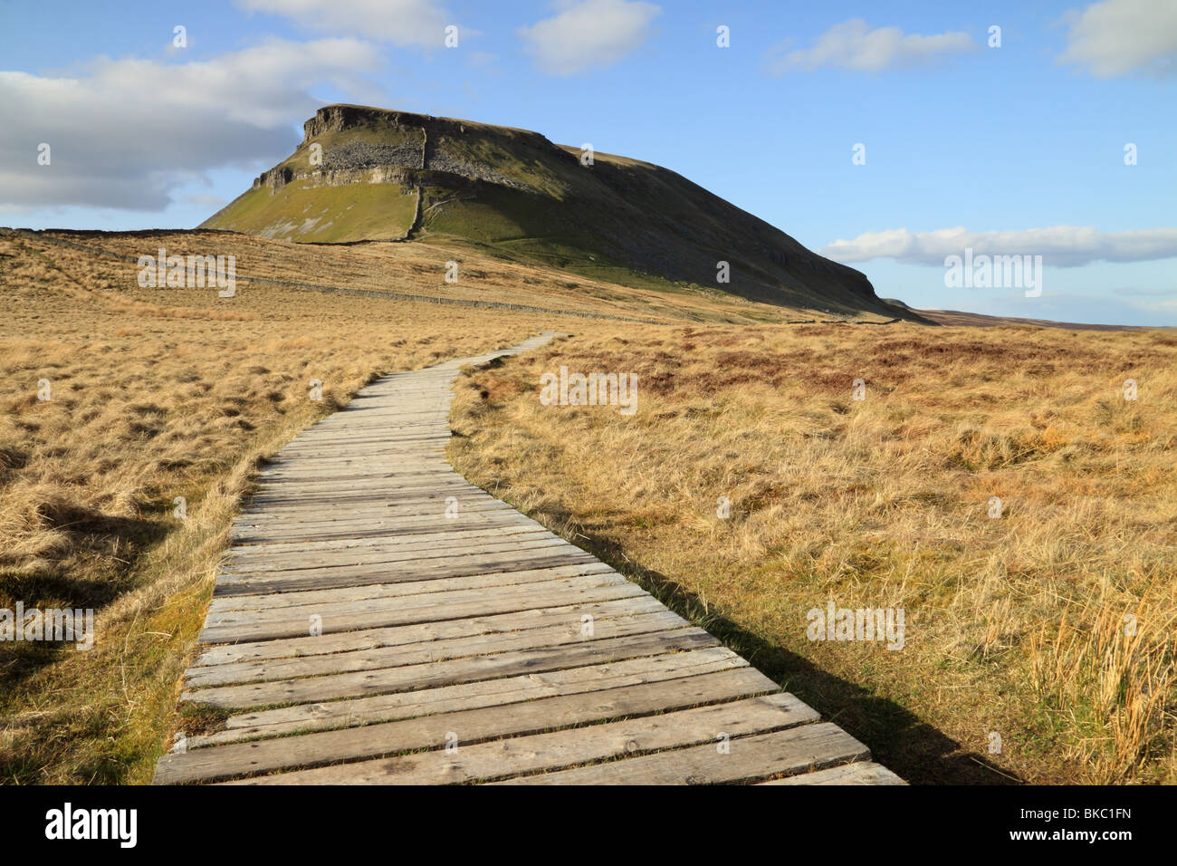 A view of Pen-y-ghent, a mountain in the Yorkshire Dales and one of the ...