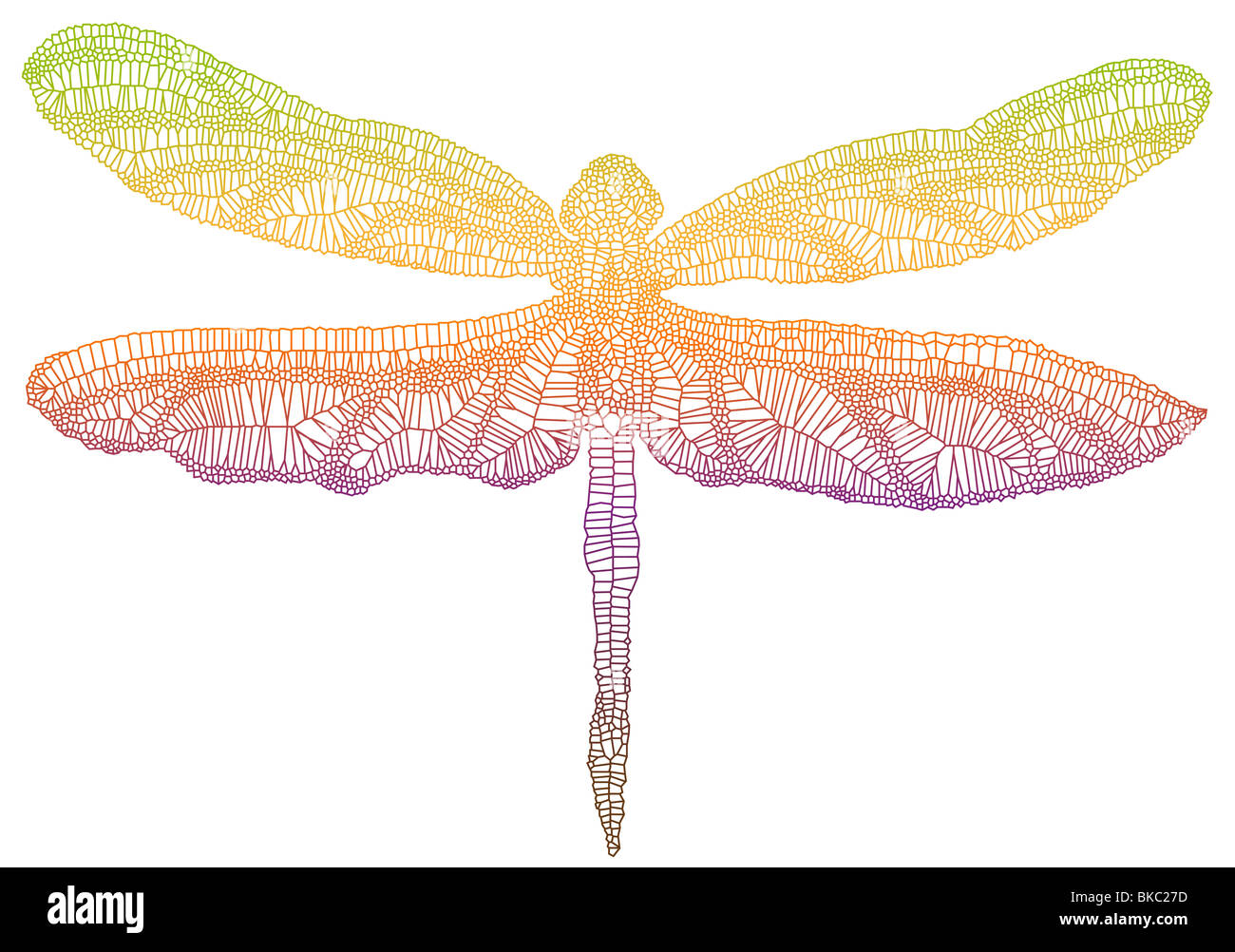 colorful detailed dragonfly Stock Photo - Alamy