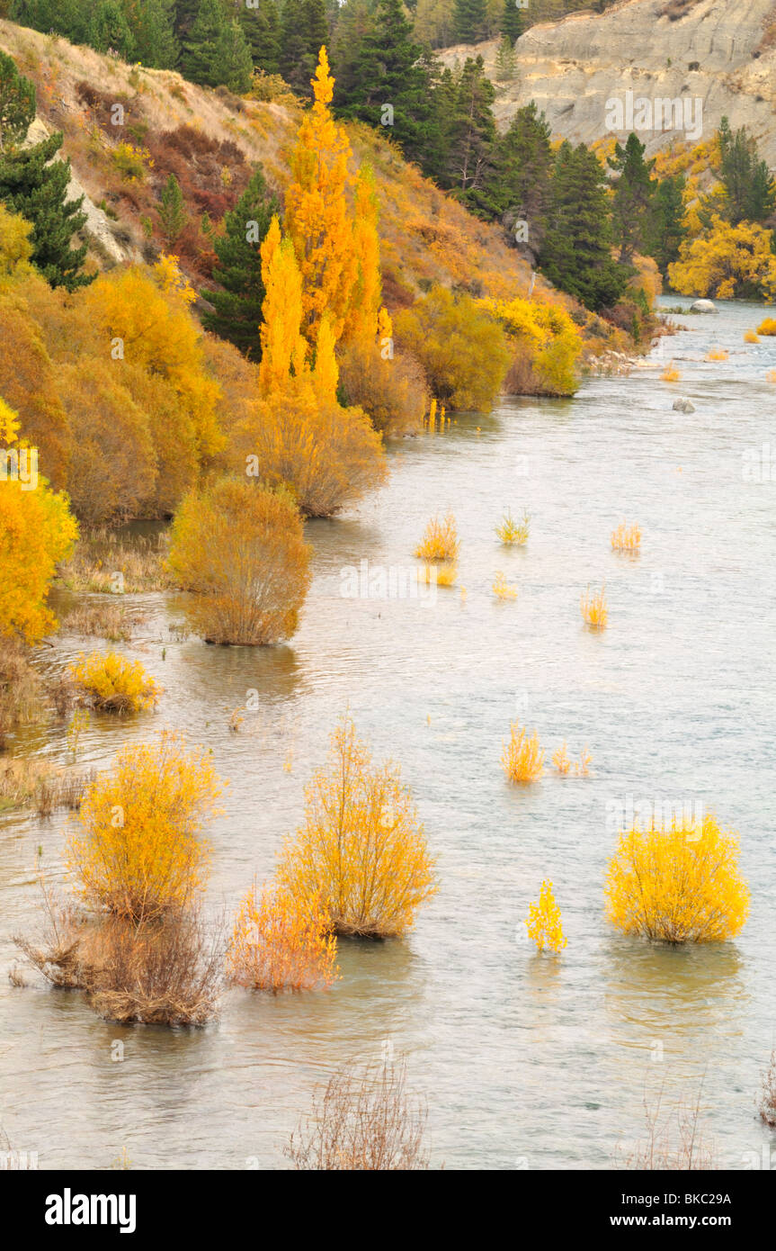 Tekapo River autumn scenery, South Island, New Zealand Stock Photo - Alamy