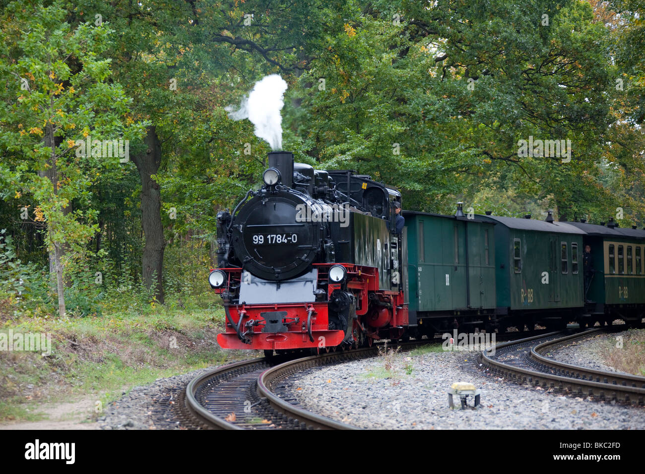 A train of the Ruegensche Baederbahn, nicknamed Rasender Roland on the ...