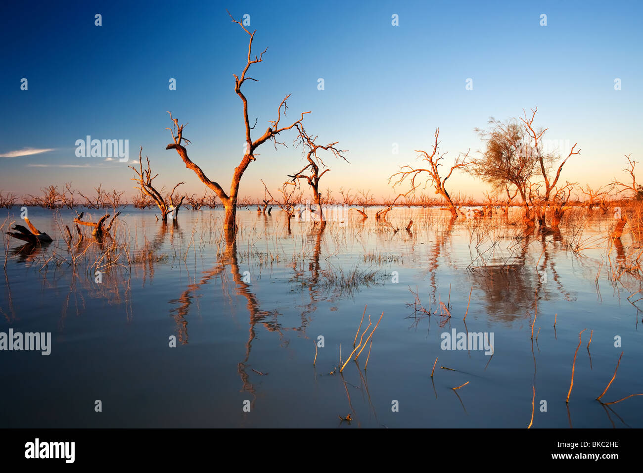Outback lake hi-res stock photography and images - Alamy