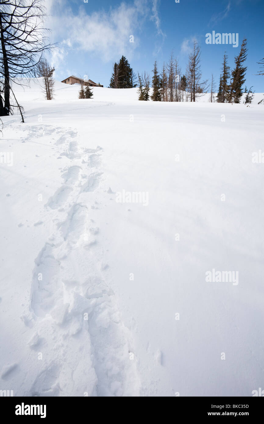 Snowshoe Tracks - Cloud Cap Inn, Cooper Spur, Mount Hood National ...