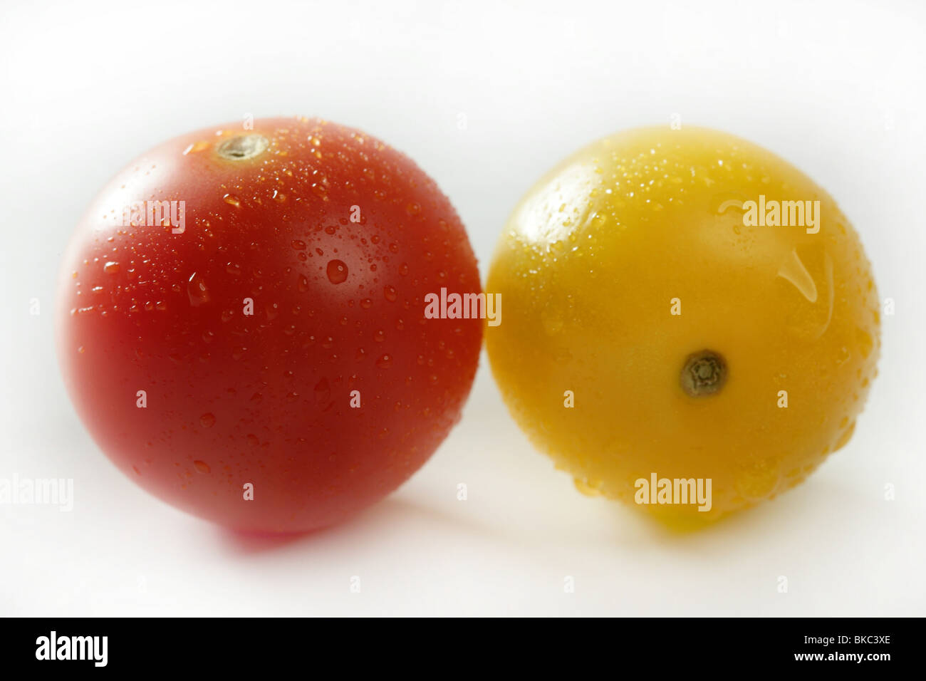 Little cherry varied multi color tomatoes, at studio, white background ...