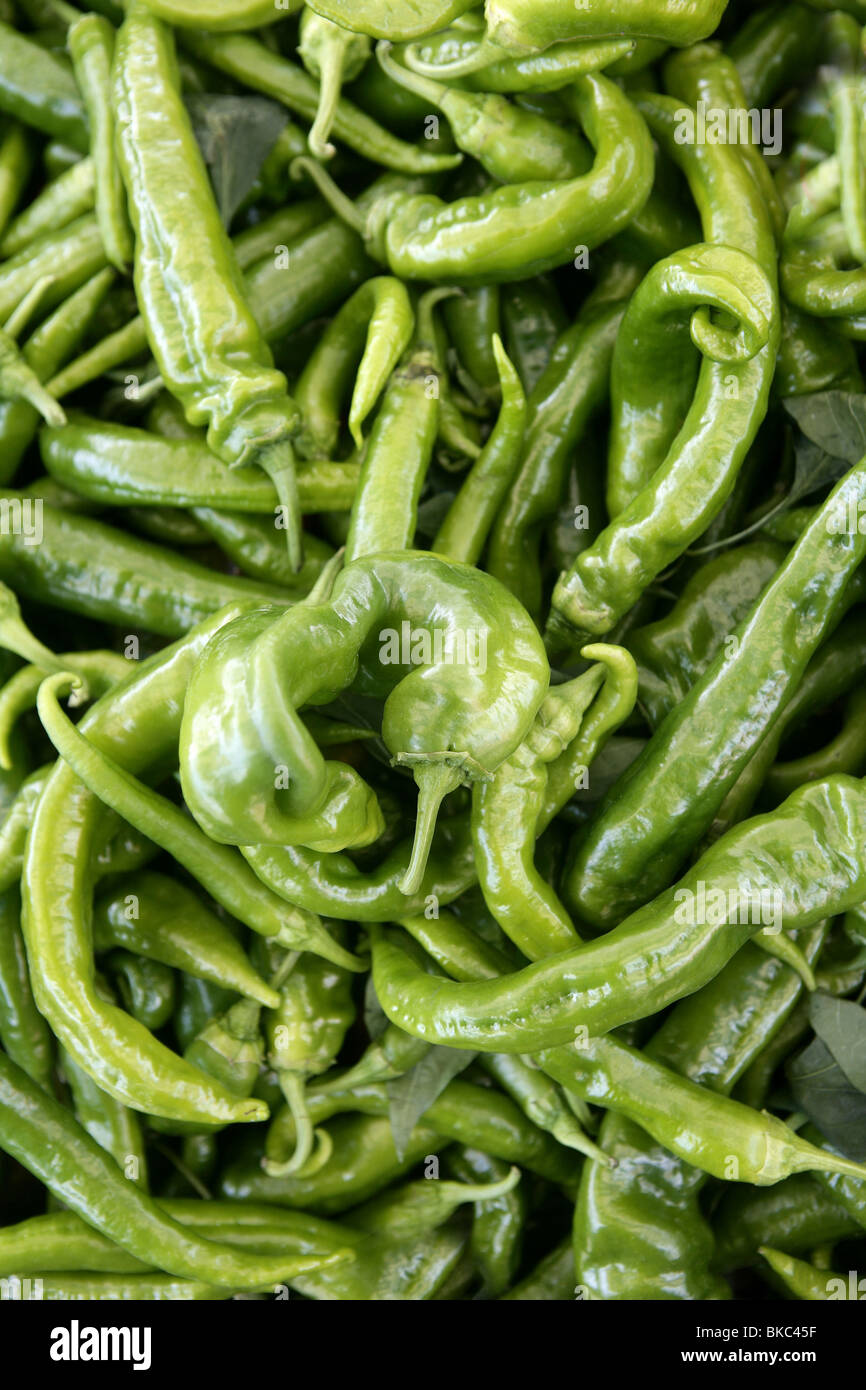 Green pepper texture in the marketplace macro pattern Stock Photo - Alamy