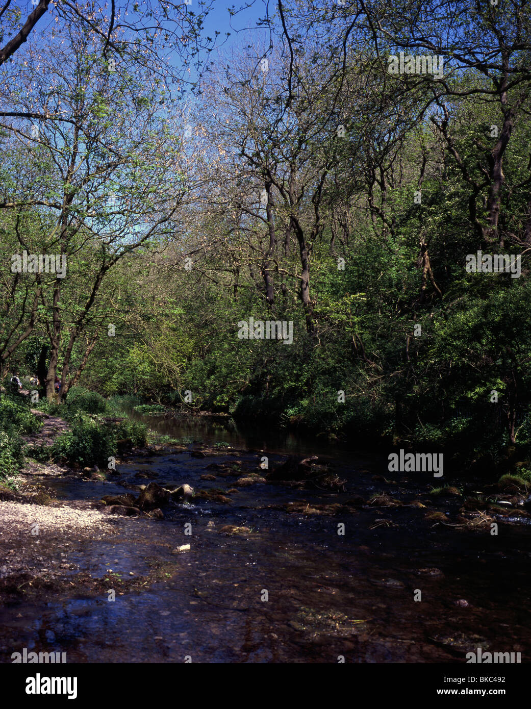 The River Lathkill Lathkill Dale Derbyshire England Stock Photo - Alamy