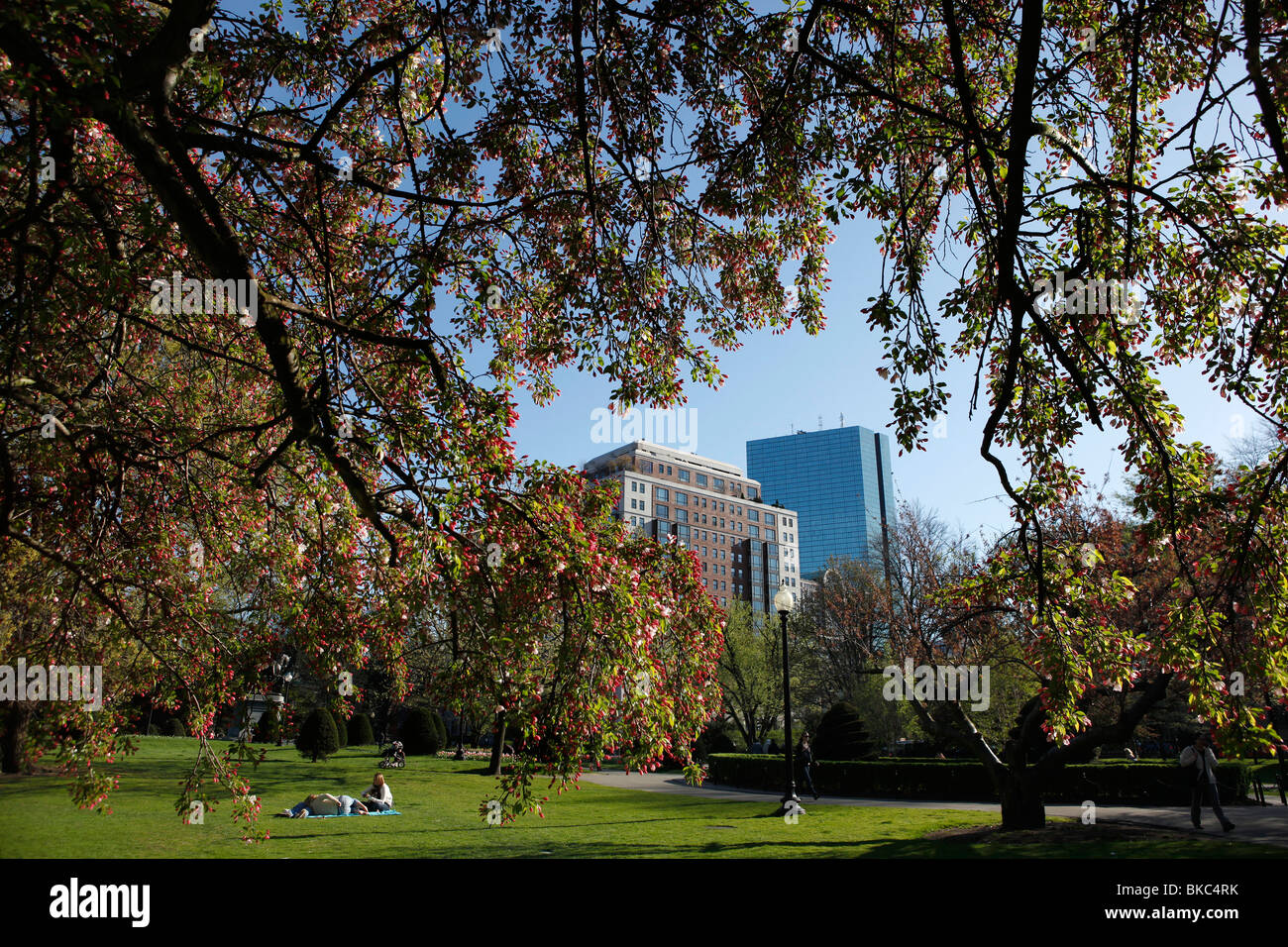Boston public garden hi-res stock photography and images - Alamy