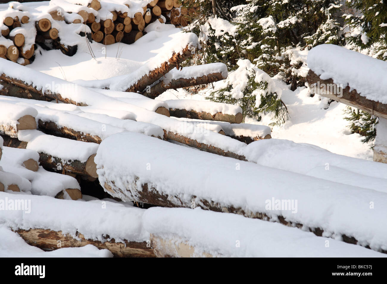 Snow covered wood pile Stock Photo - Alamy