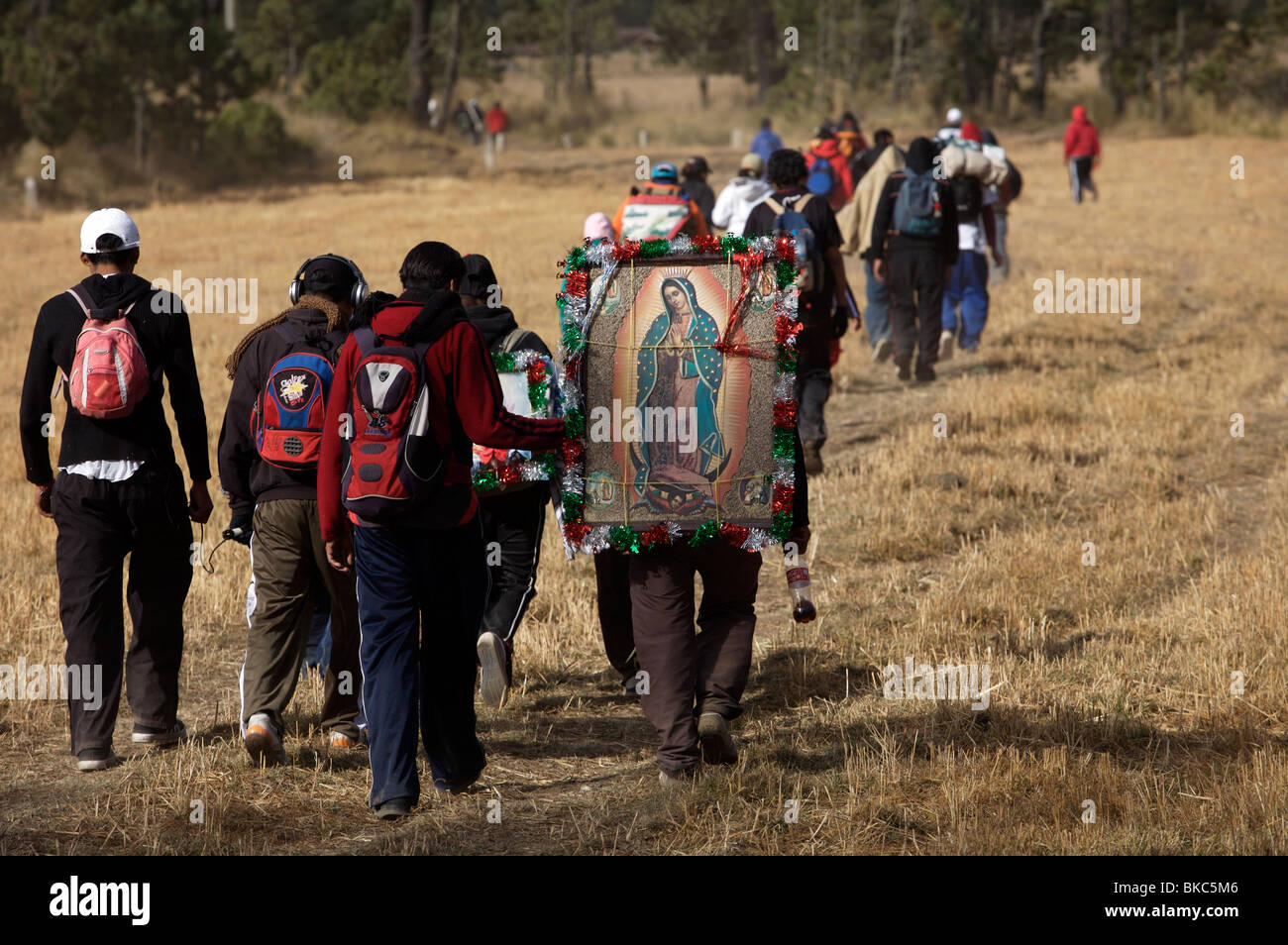Pilgrims walk through a field as they travel to reach the Basilica of ...