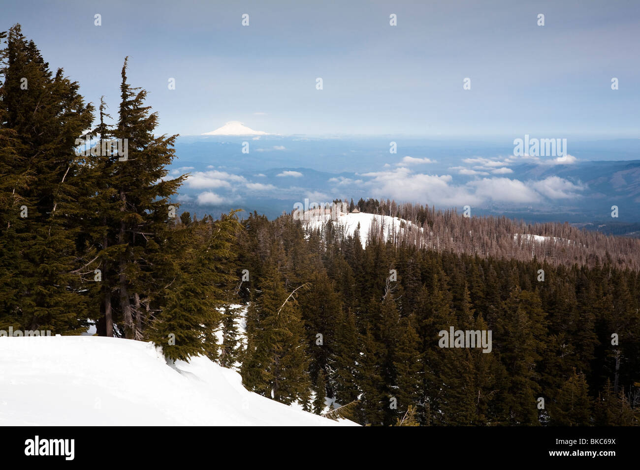 Cloud Cap from Cooper Spur Area, Mount Adams in the Background, Mount ...