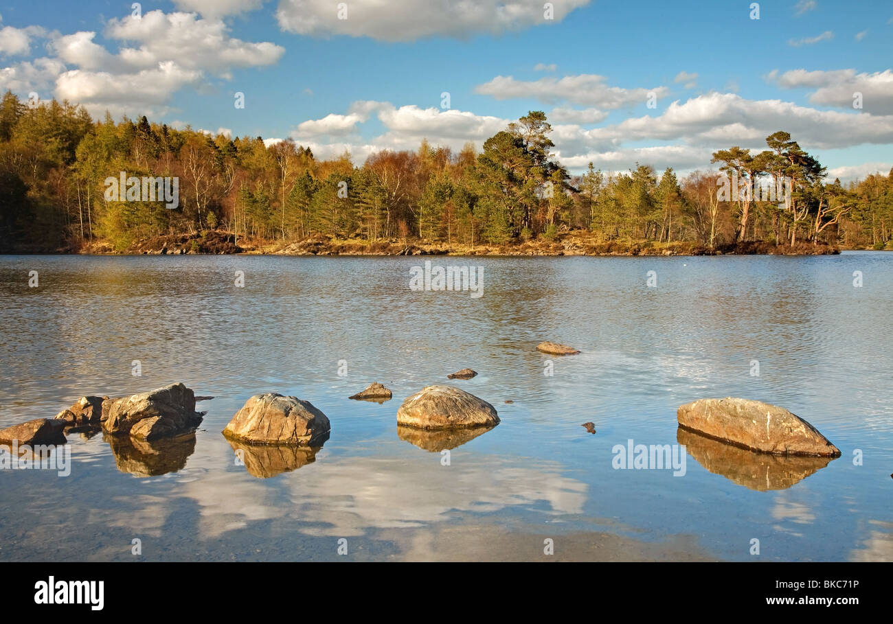 Tarn Hows Stones Stock Photo - Alamy