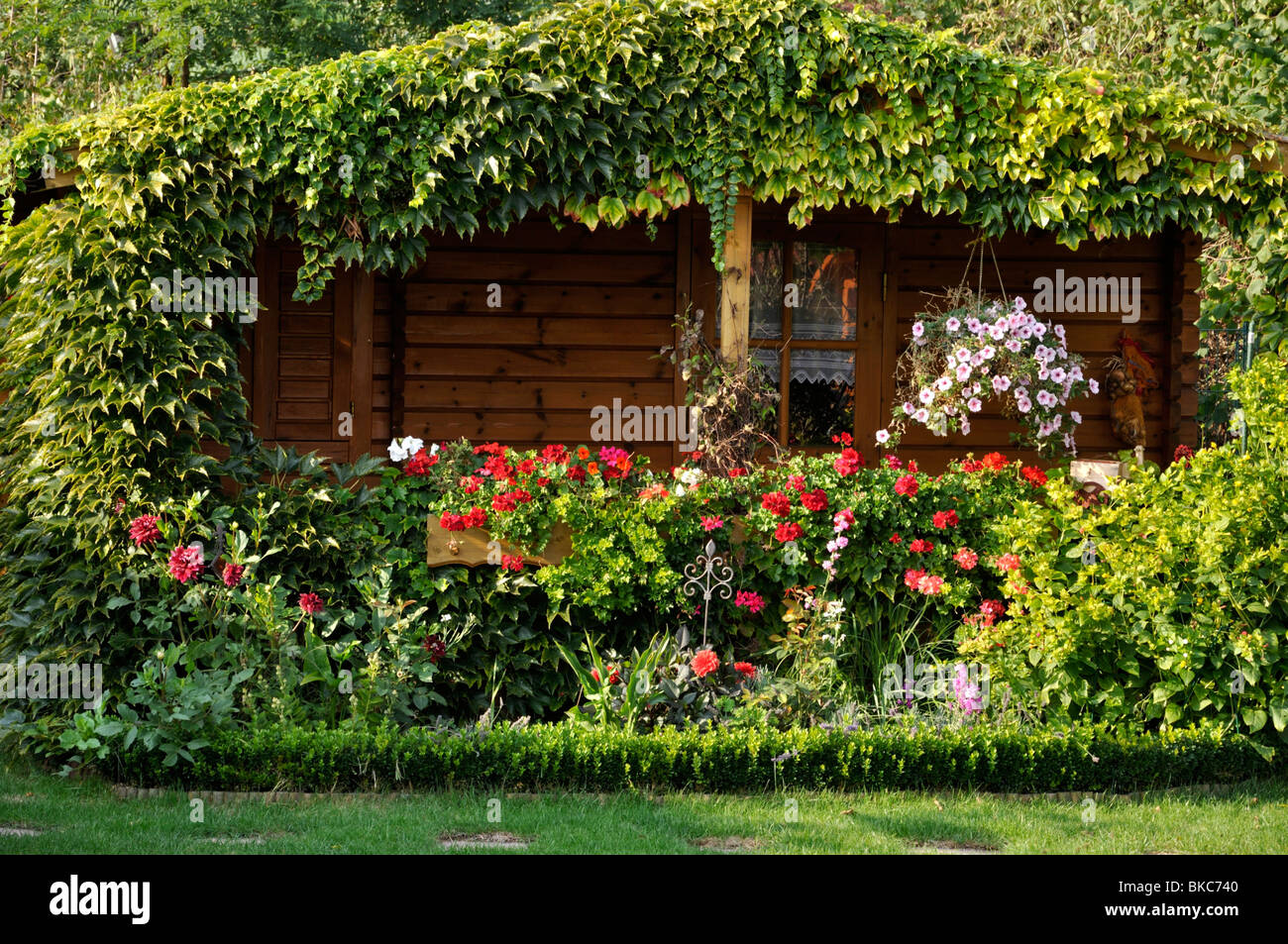 Creepers plants on house hi-res stock photography and images - Alamy