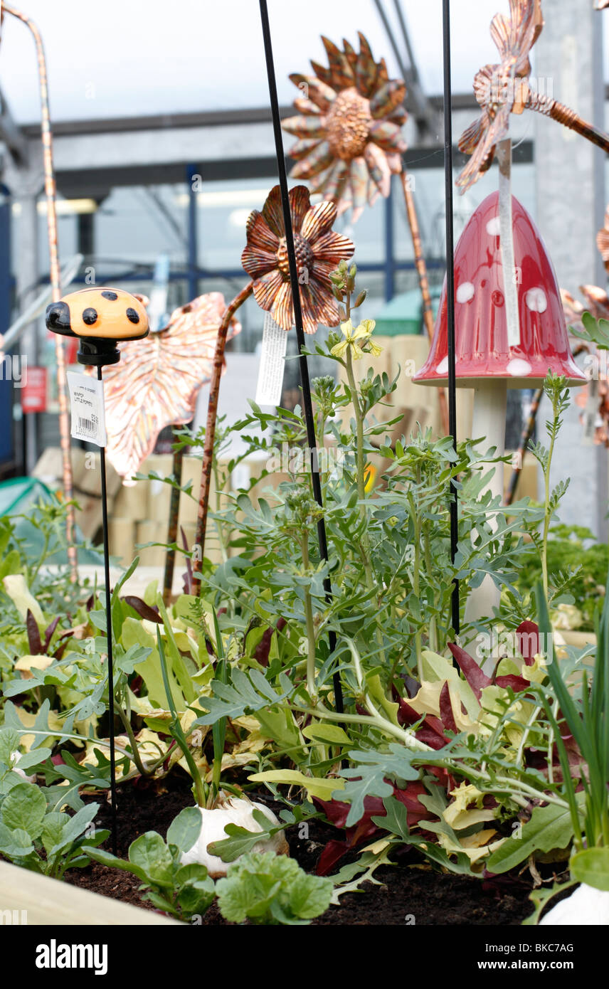 Raised bed/container vegetable gardening with decorations Brookfields ...
