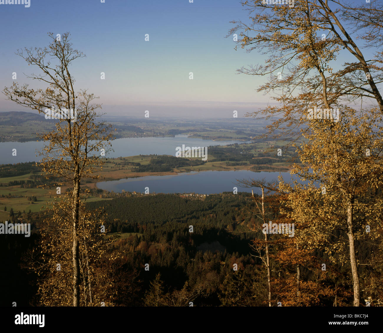 The Bannwald See and The Forggen See Autumn Fussen Bavaria germany ...