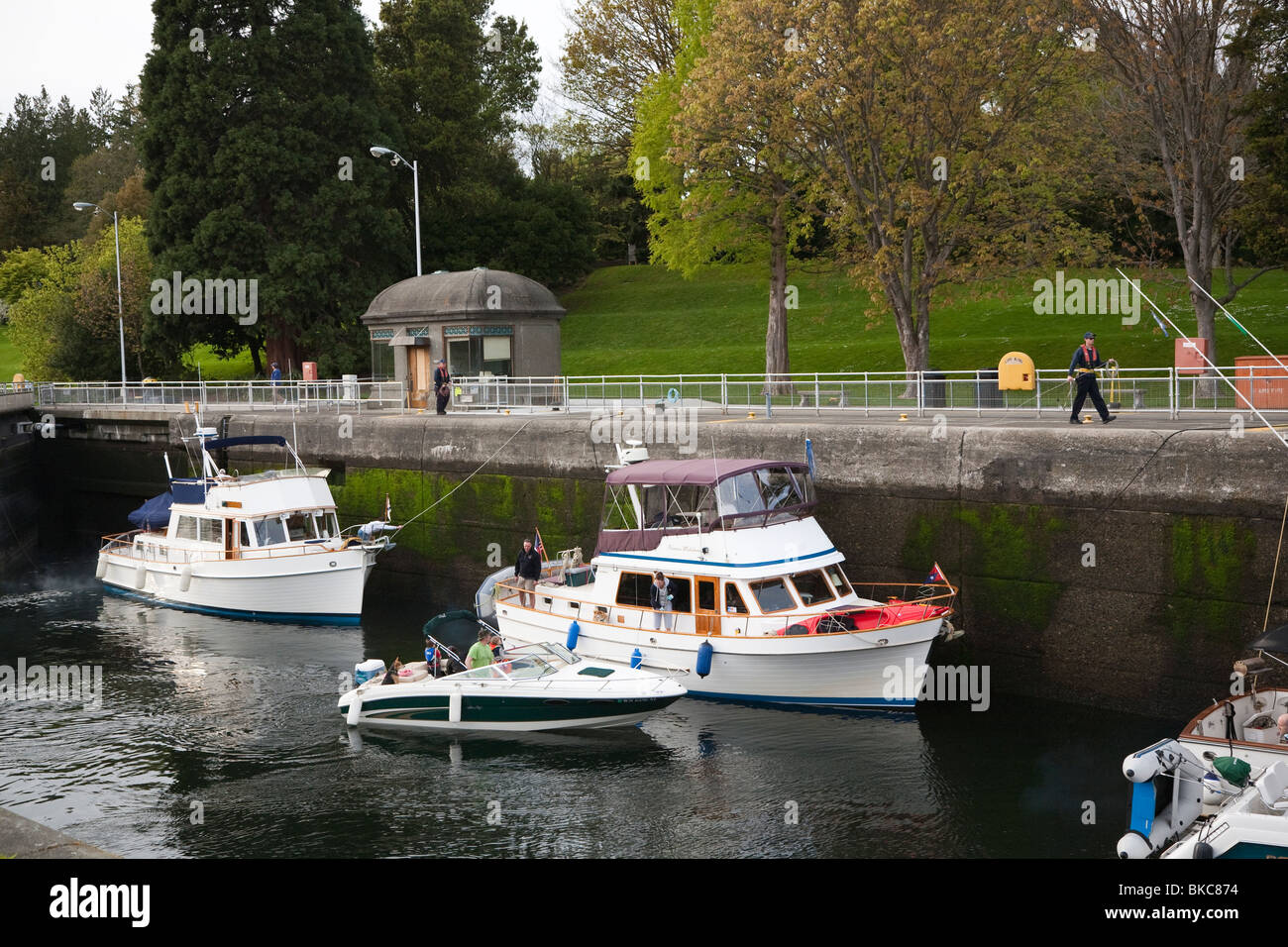 Ballard locks seattle hi-res stock photography and images - Alamy