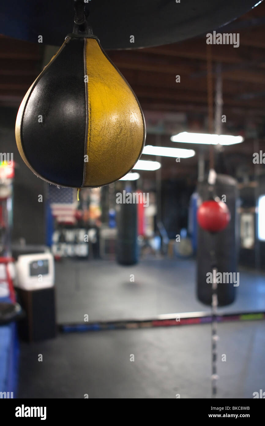 Gold and Black Boxing Pear in Gym Stock Photo - Alamy