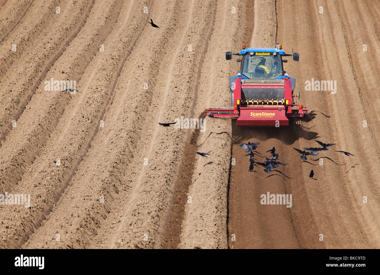 Dry land tractor lines hi-res stock photography and images - Alamy