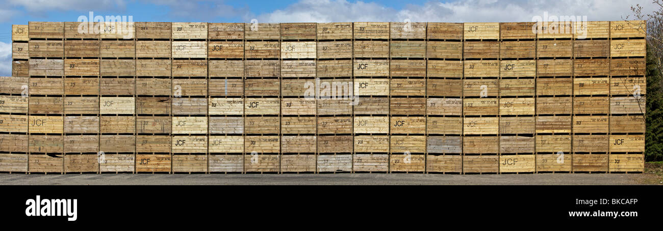 Stacks of empty wooden potato boxes Stock Photo - Alamy