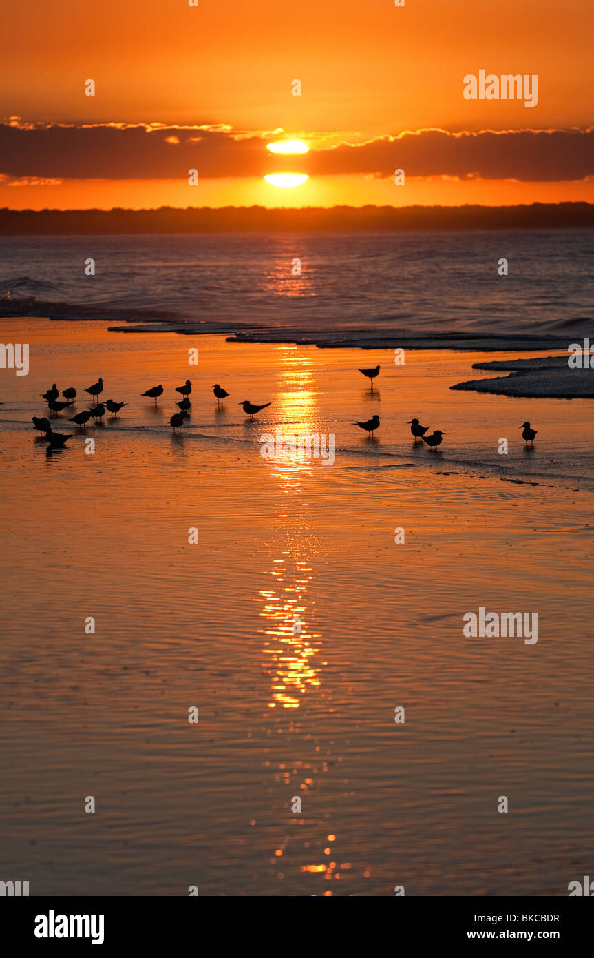 Sunset flinders island hi-res stock photography and images - Alamy