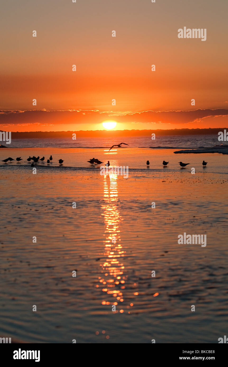 North stradbroke island hi-res stock photography and images - Alamy