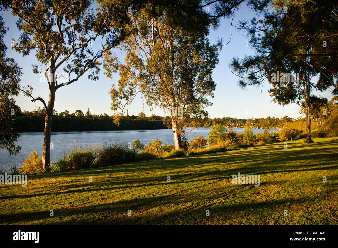 The Brisbane River & parkland, Yeronga, Brisbane, Queensland, Australia ...