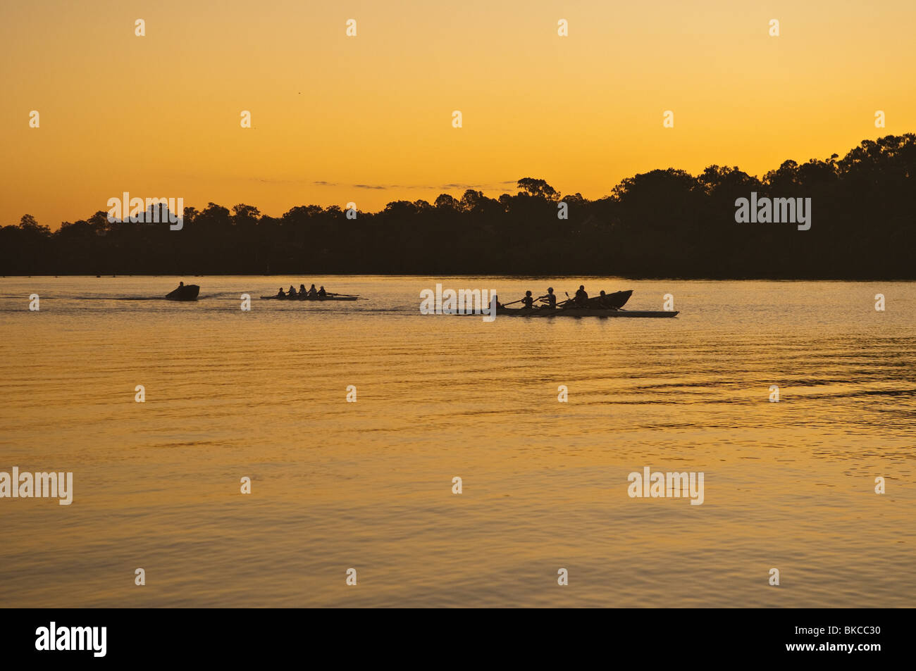 Rowing on the Brisbane River, Brisbane, Queensland, Australia Stock ...