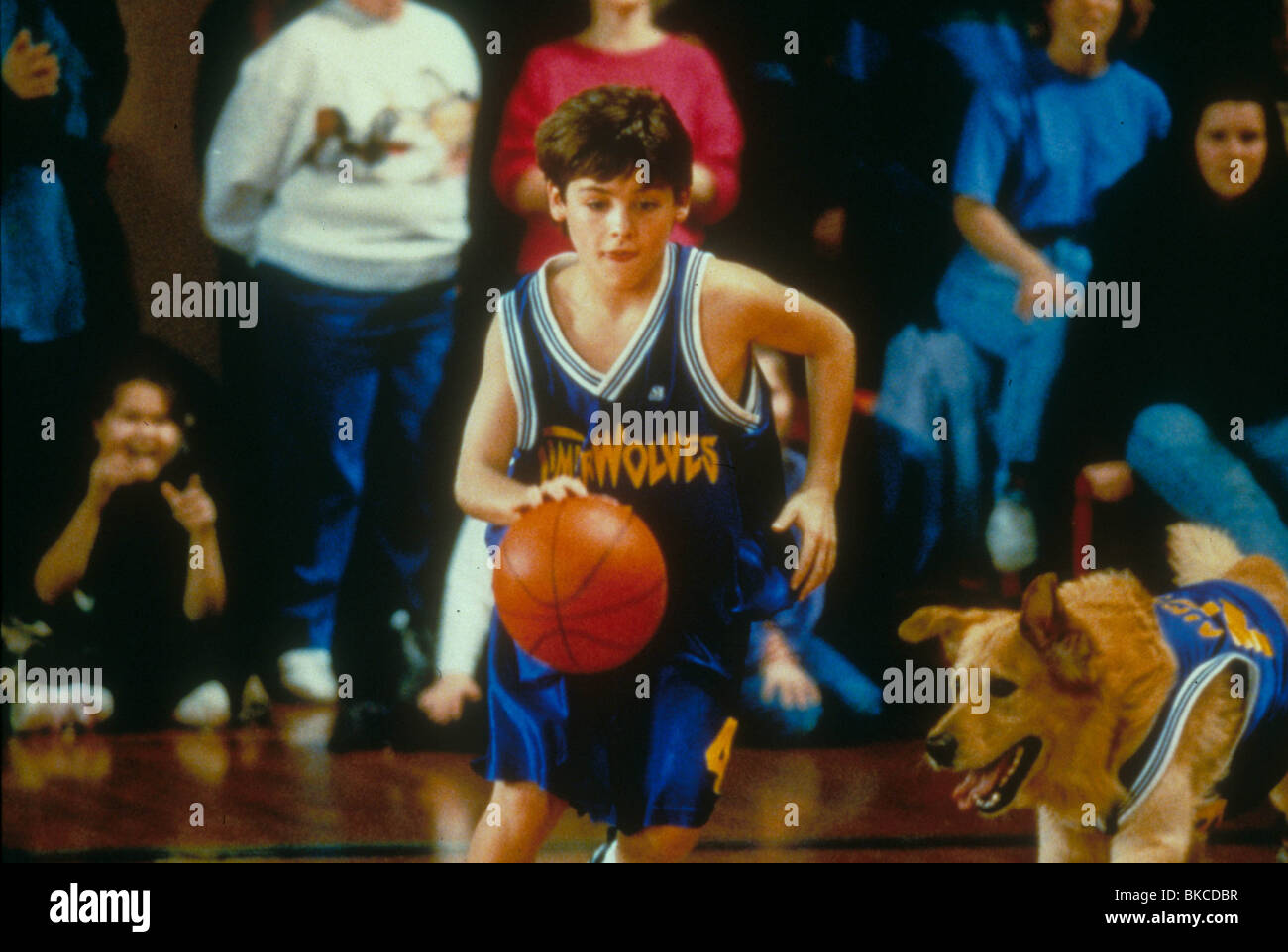 Air bud movie hi-res stock photography and images - Alamy