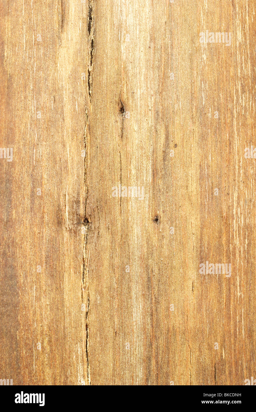 Bare tree trunk surface texture for use as background Stock Photo - Alamy