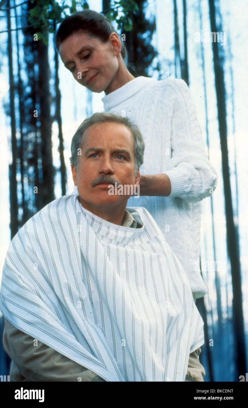 ALWAYS (1989) AUDREY HEPBURN, RICHARD DREYFUSS ALW 039 Stock Photo - Alamy
