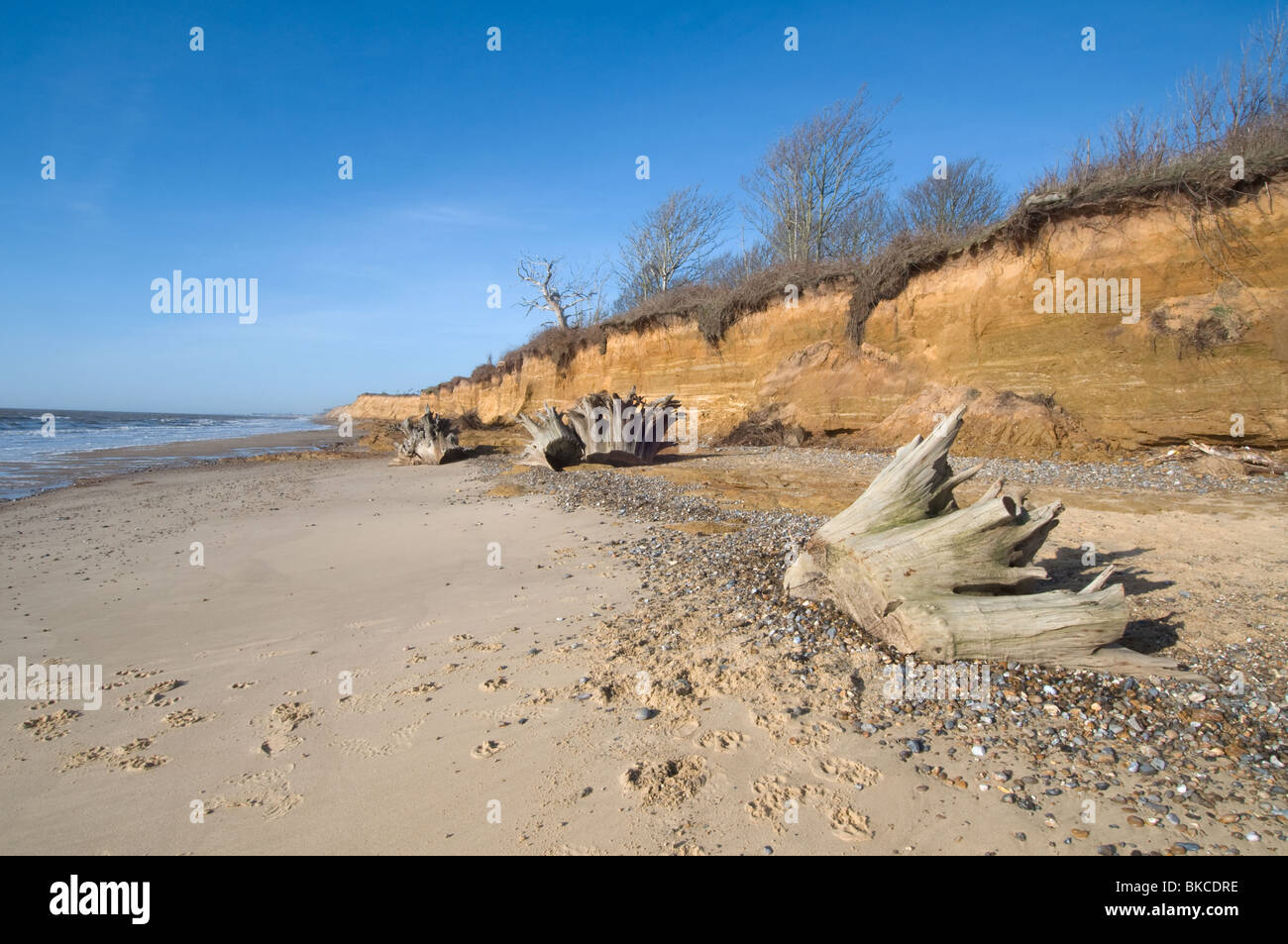 Beach shot at Covehithe in Suffolk East Anglia showing Coastal Erosion ...