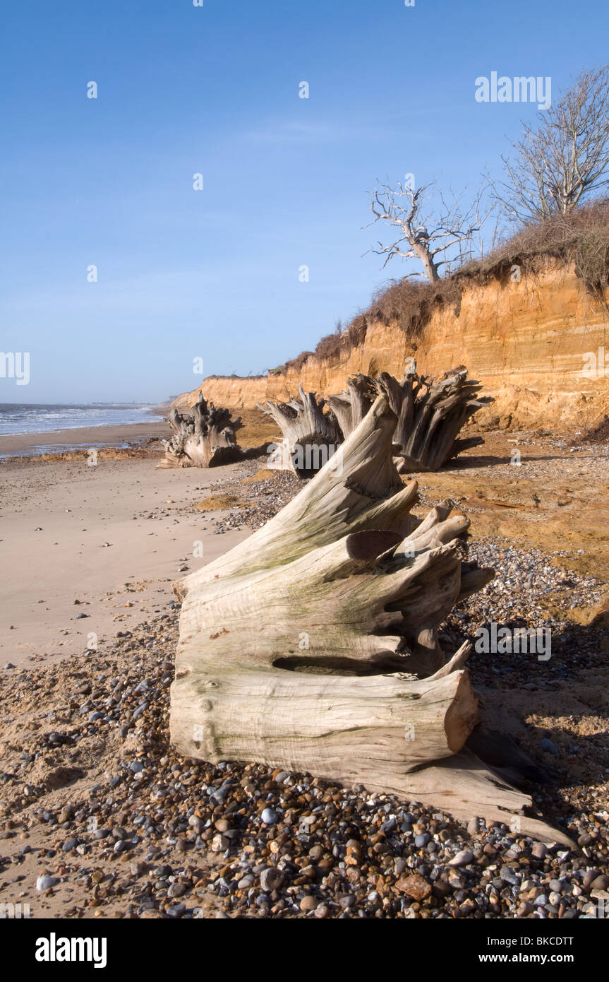 Covehithe cliffs in suffolk hi-res stock photography and images - Alamy