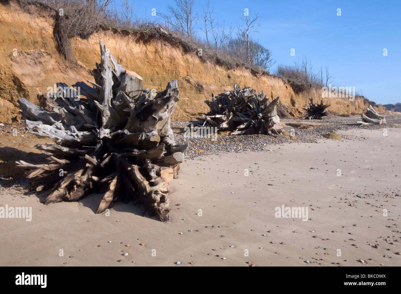 Beach shot at Covehithe in Suffolk East Anglia showing Coastal Erosion ...