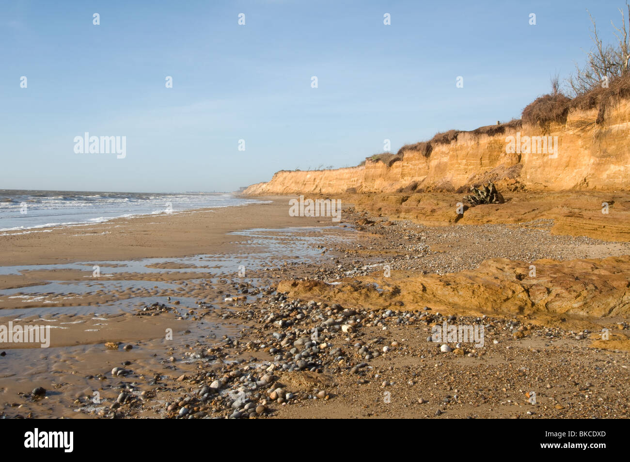 Beach shot at Covehithe in Suffolk East Anglia showing Coastal Erosion ...