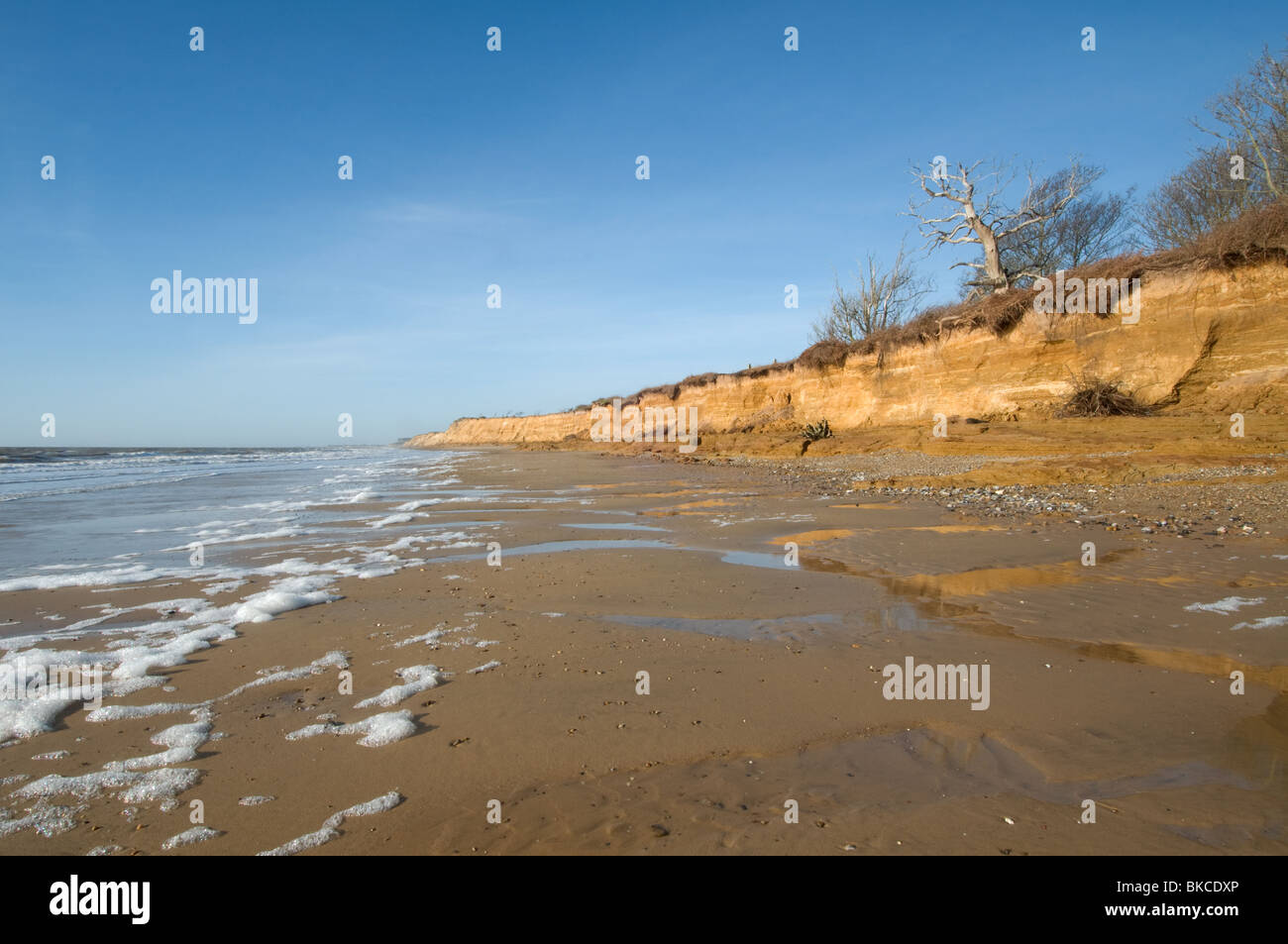 Covehithe cliffs in suffolk hi-res stock photography and images - Alamy