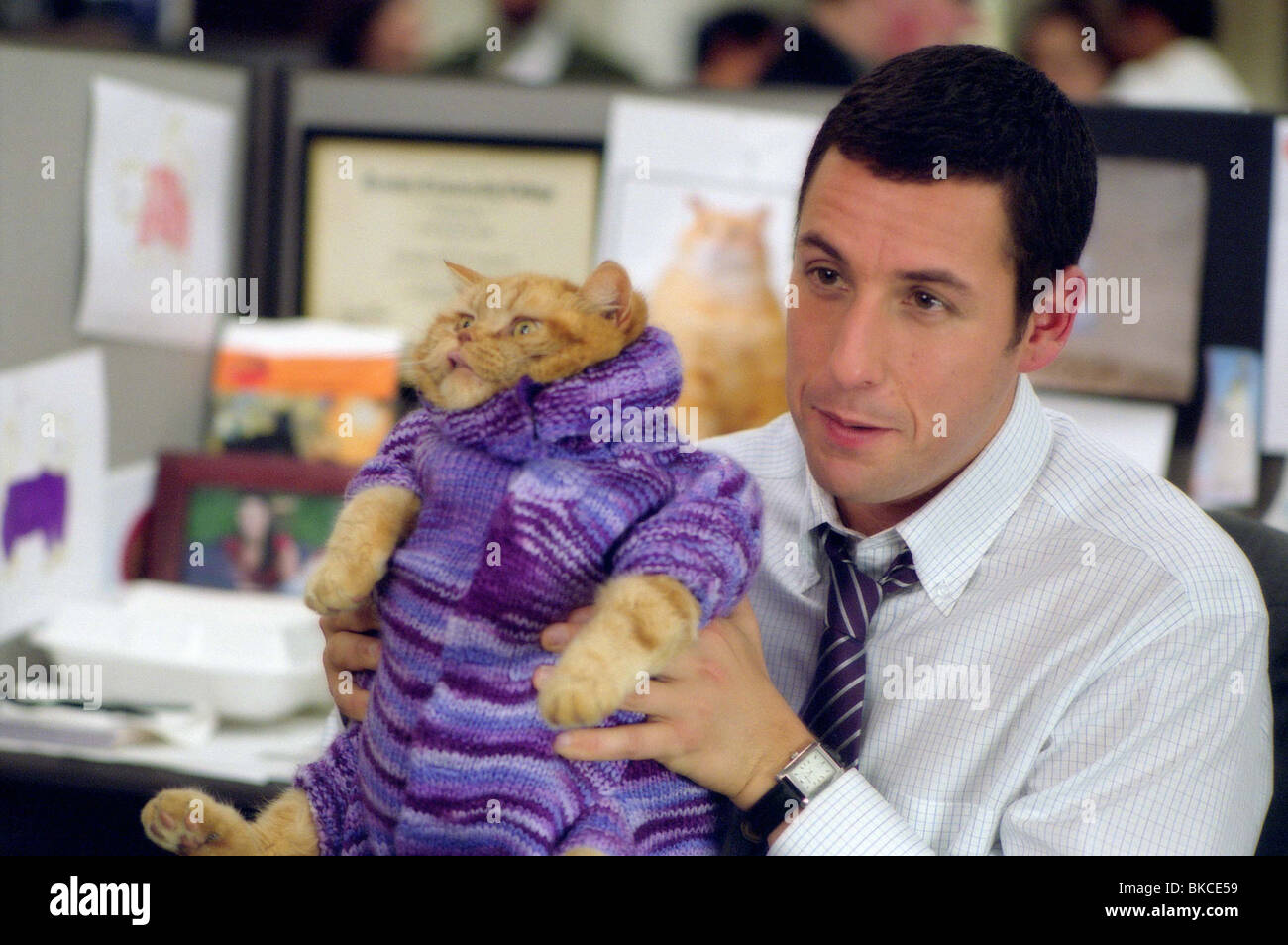 ANGER MANAGEMENT (2003) ADAM SANDLER ANGM 002-1396 Stock Photo - Alamy