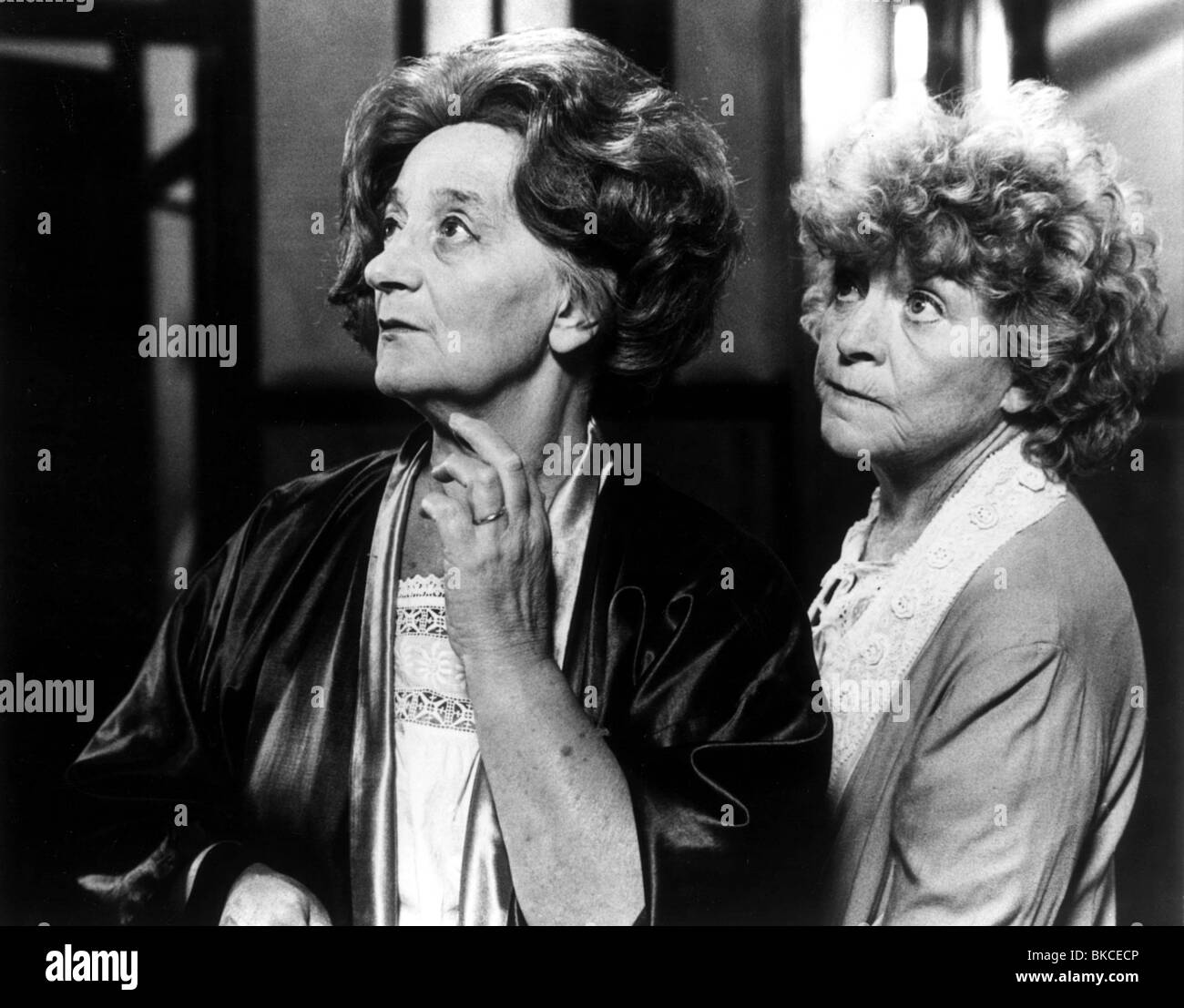 APARTMENT ZERO -1988 LIZ SMITH Stock Photo - Alamy