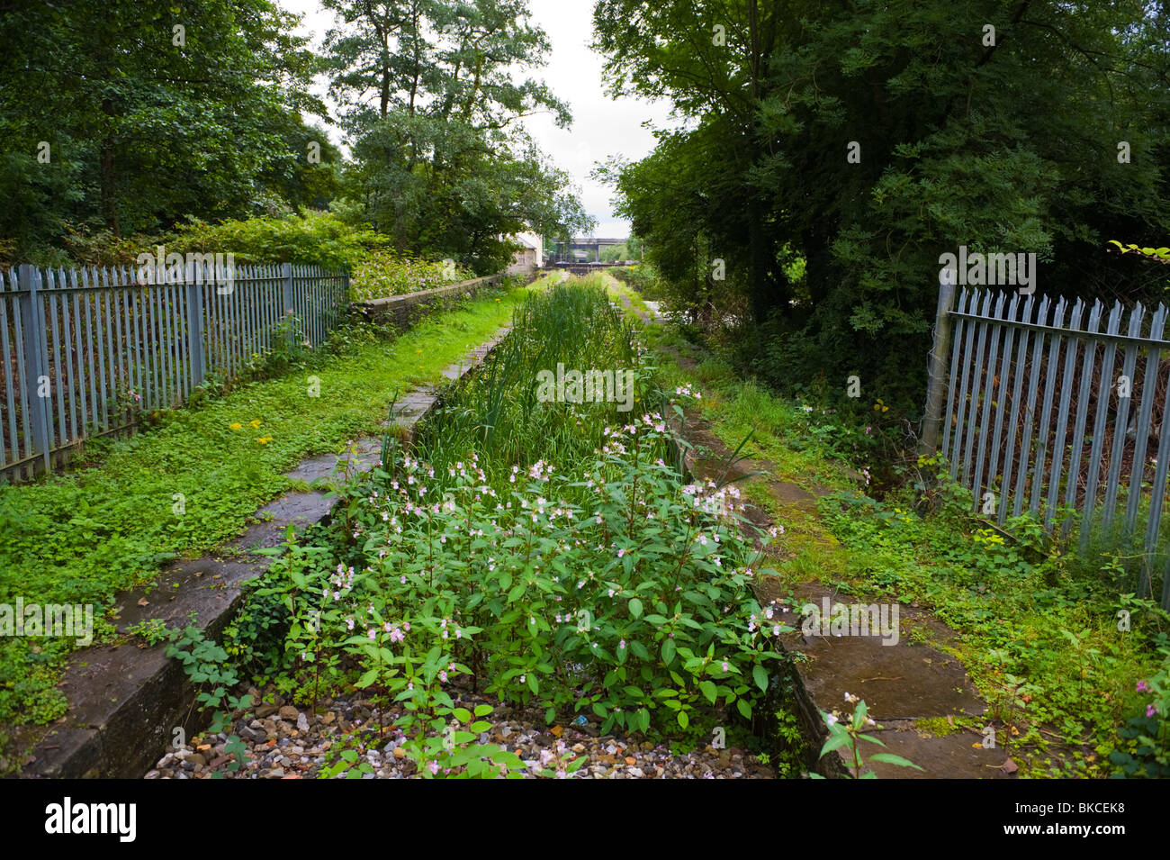 Neath Canal Neath South Wales Stock Photos & Neath Canal Neath South ...