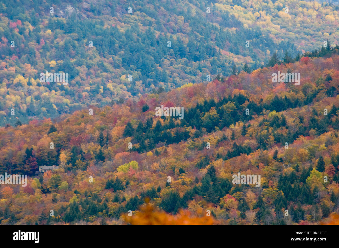 Fall Foliage, Autumn Fall,Colors,Colour,Colours,Bear Notch Road ...
