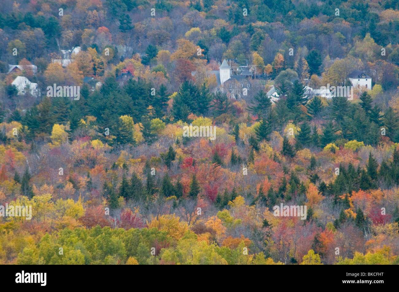 Bear notch road autumn hi-res stock photography and images - Alamy