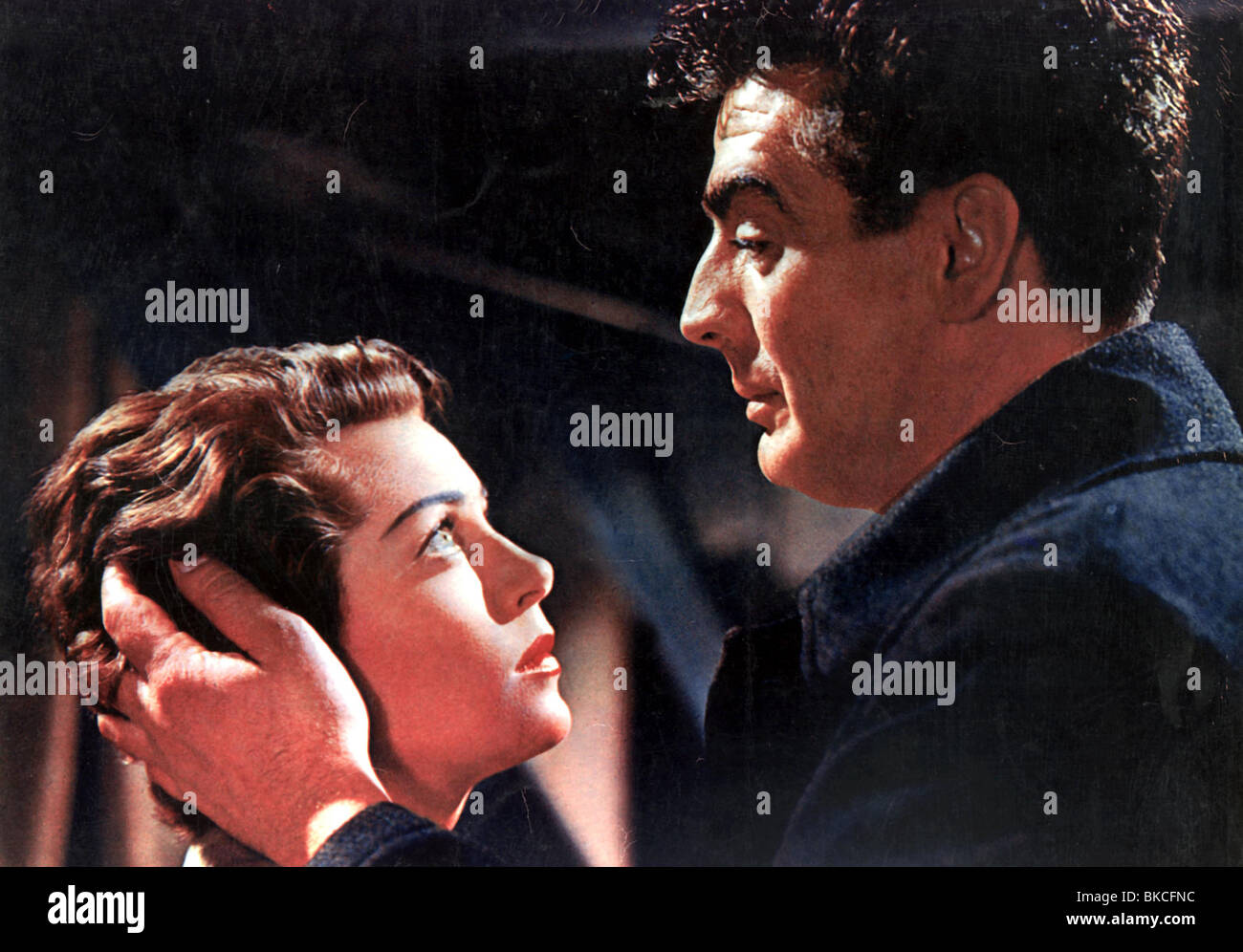 Btyd hi-res stock photography and images - Alamy