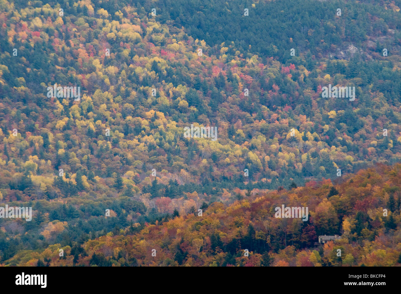 Fall Foliage, Autumn Fall,Colors,Colour,Colours,Bear Notch Road ...